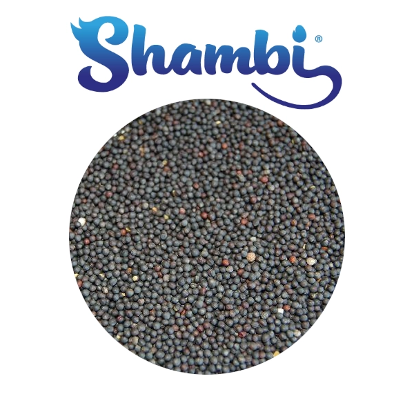 SHAMBI - Nabina 1kg - Agronatura tienda online para animales